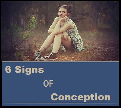 Conception Meaning